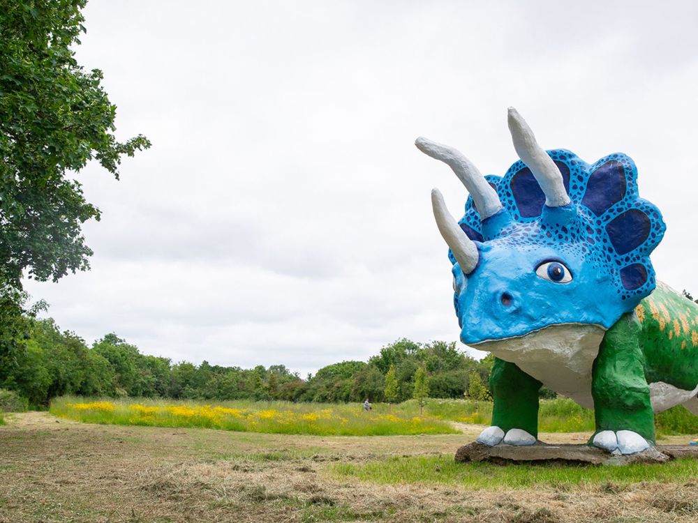 The Parks Trust | The Parks Trust