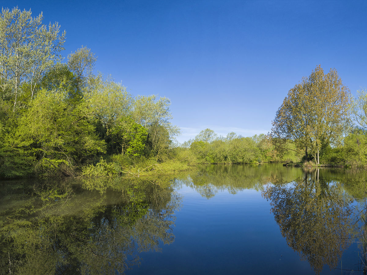 The Parks Trust | The Parks Trust