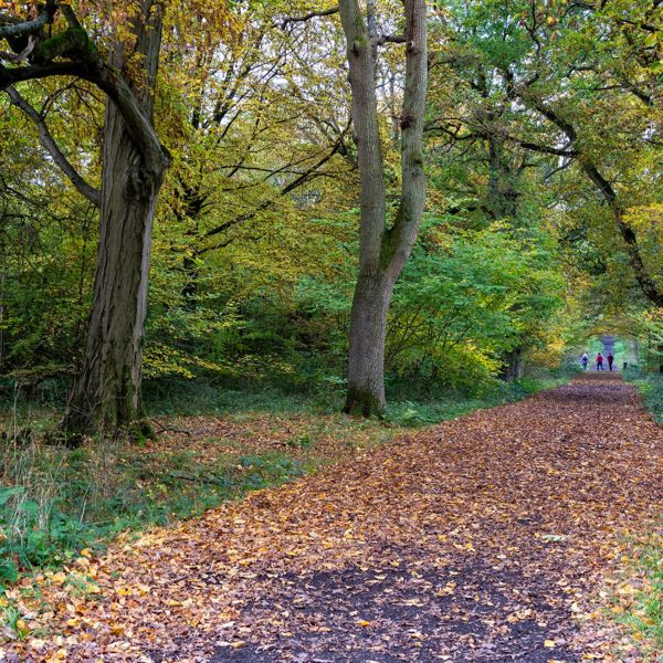 The Parks Trust | The Parks Trust